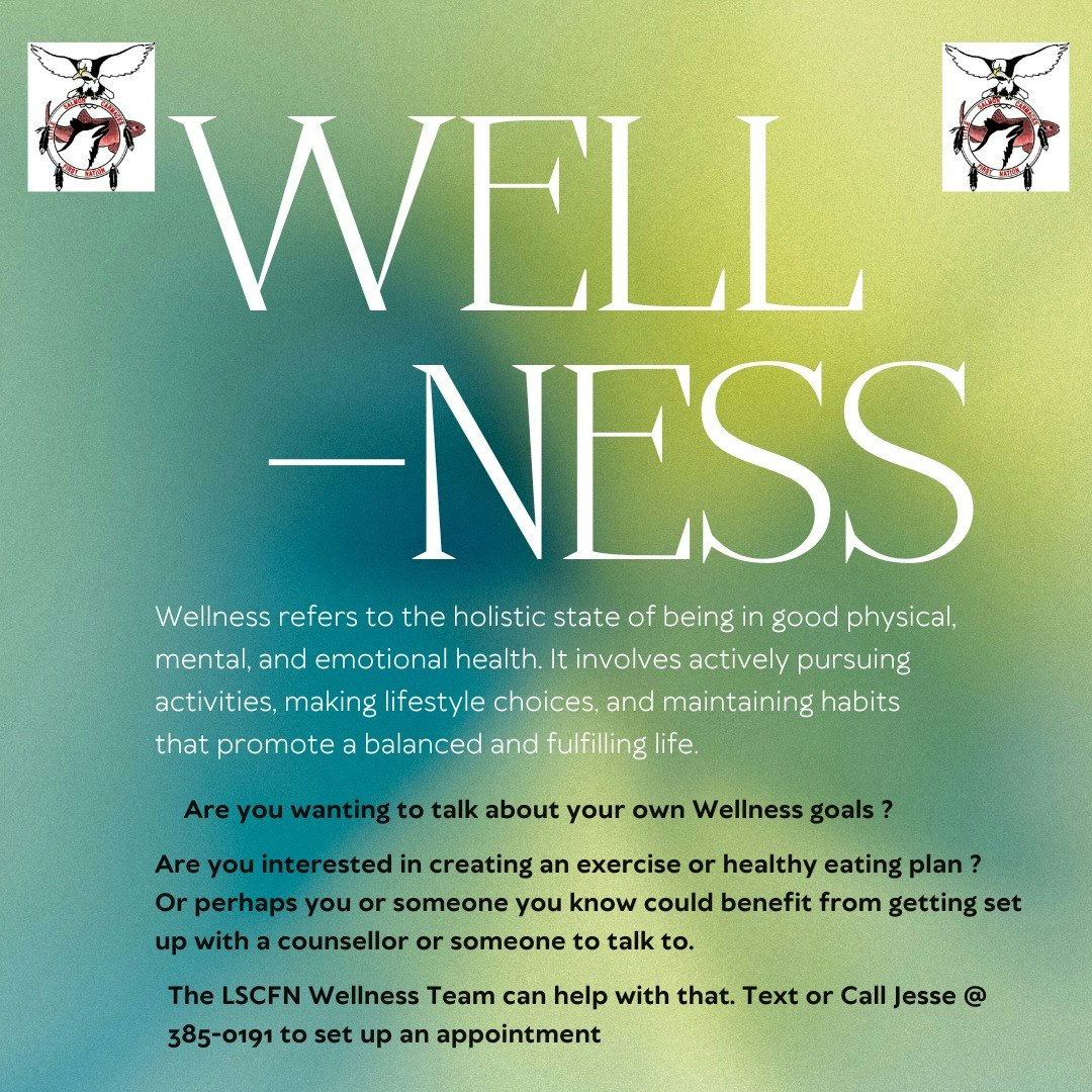 Wellness Goals with the LSCFN Wellness Team — Little Salmon Carmacks ...